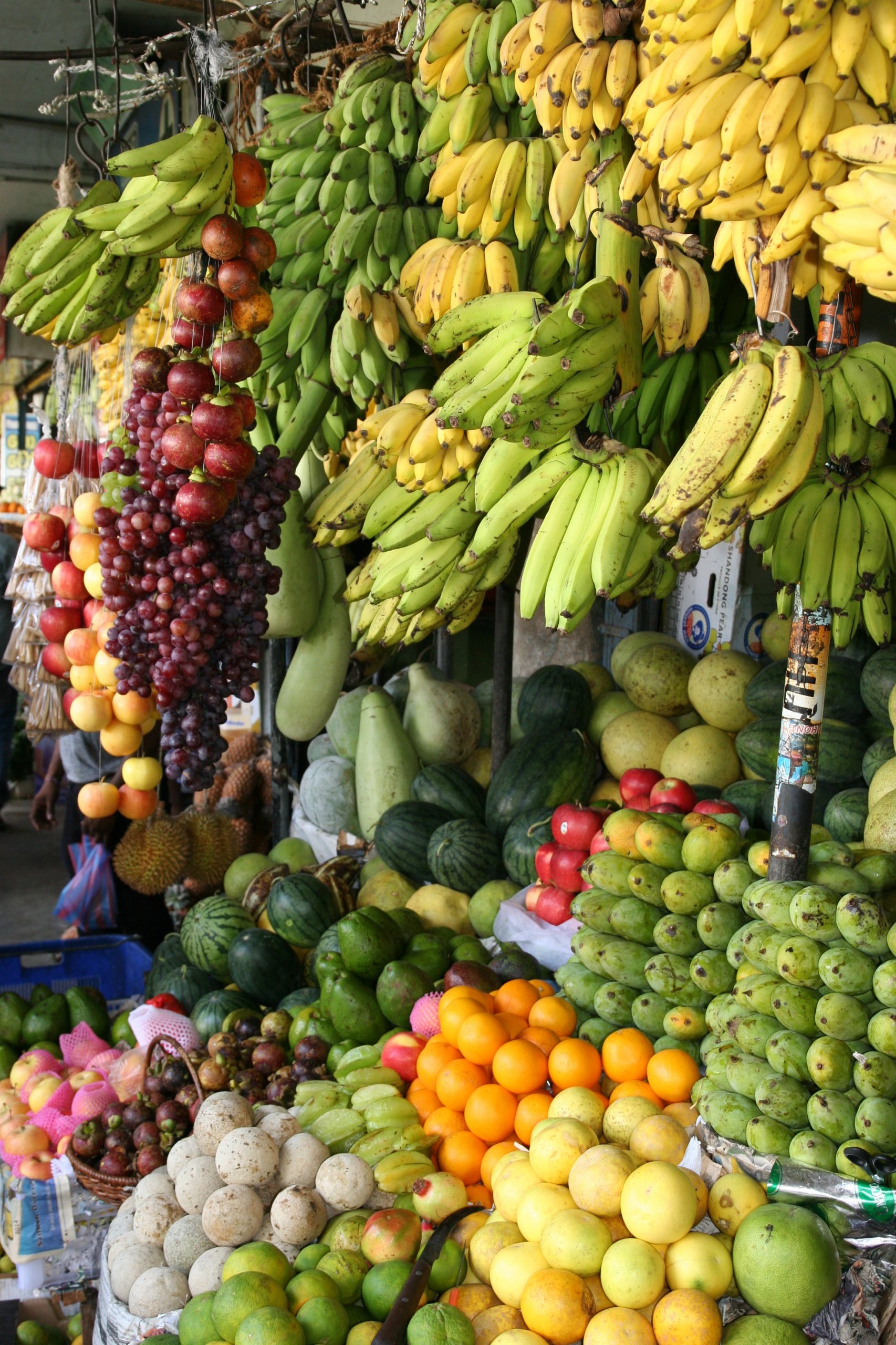 List Of Fruit - NEO URBAN TONGUE